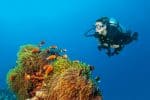 The Facts about Decompression Sickness - Scuba Diving Gear