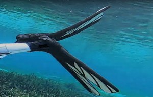 Split Fins vs Regular Fins and Blade Flippers for Scuba Diving