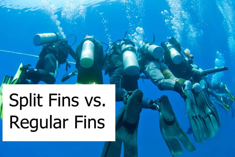 Split Fins vs Regular Fins and Blade Flippers for Scuba Diving