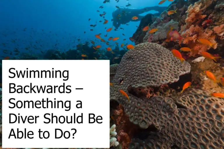Swimming Backward – Something a Diver Should Be Able to Do? - Scuba ...