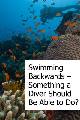 Swimming Backward – Something a Diver Should Be Able to Do? - Scuba ...