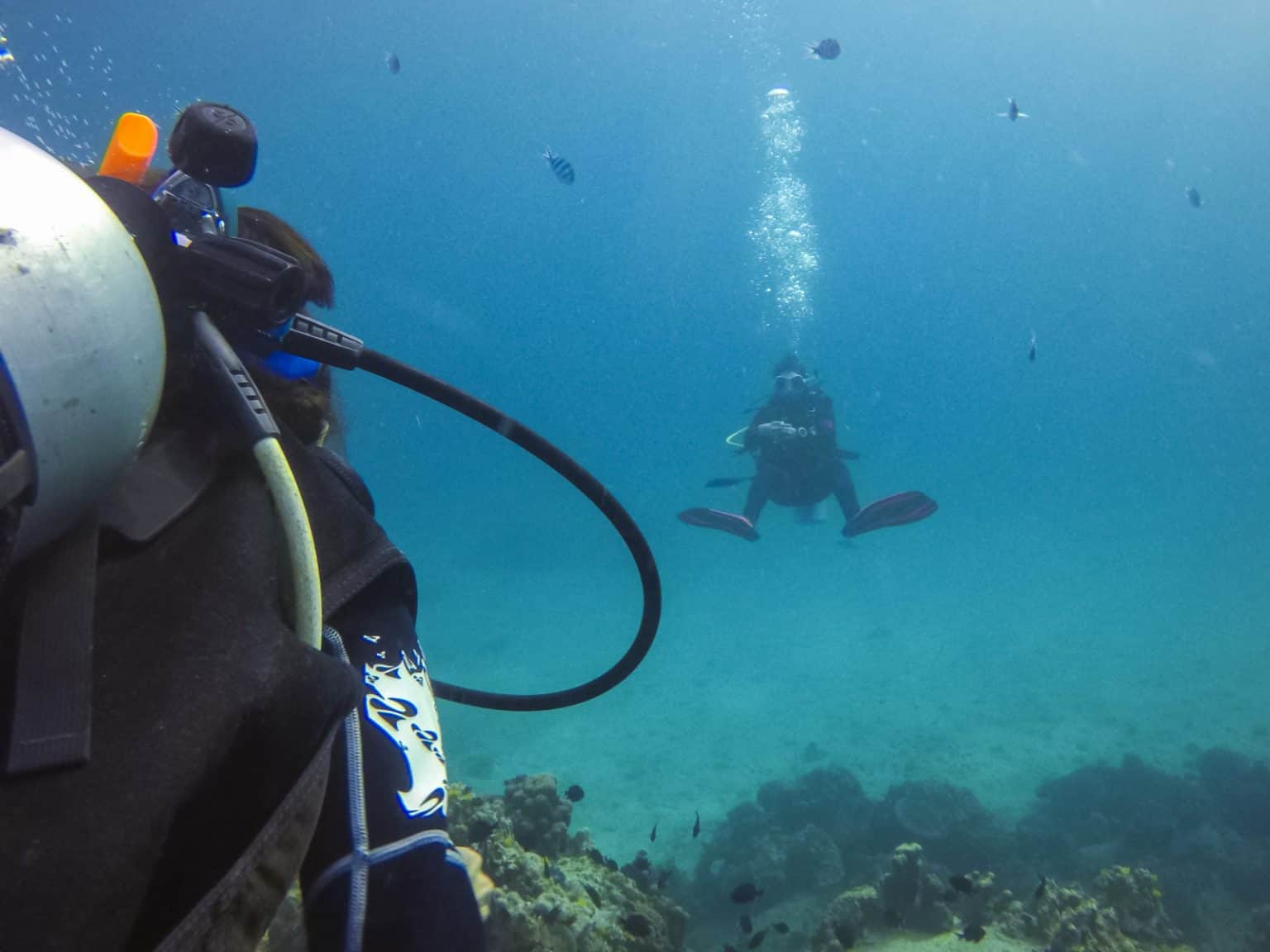 Swimming Backward – Something a Diver Should Be Able to Do?