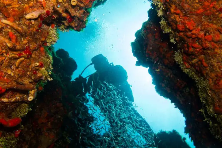 Tips to Improve Your Buoyancy Control When Scuba Diving - Scuba Diving Gear