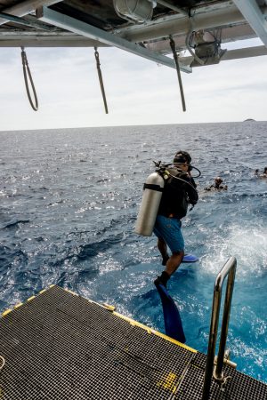 Why do Scuba Divers Dive Backwards into the Water? - Scuba Diving Gear