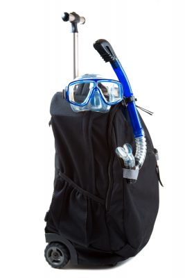 Storage and Travel Bags for Scuba Gear - Scuba Diving Gear