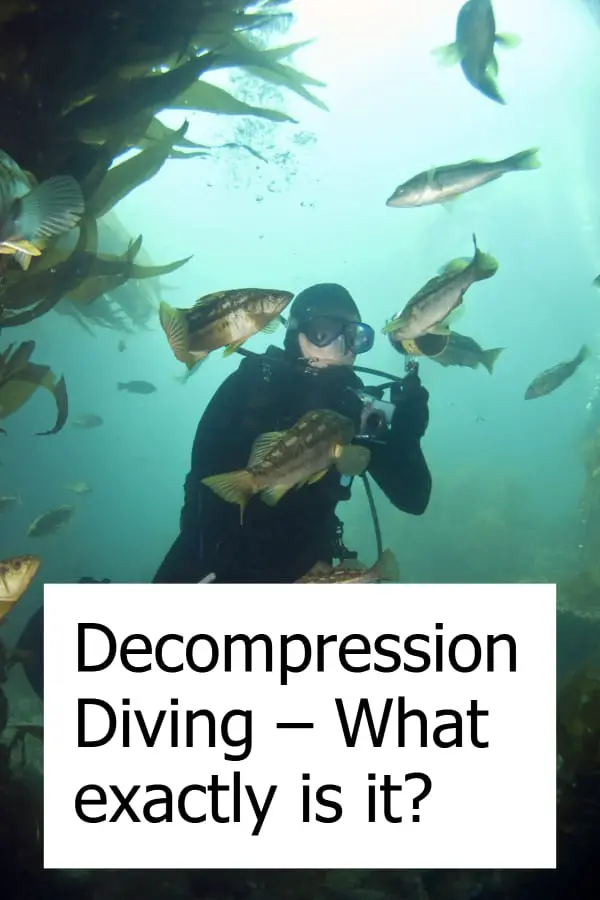 Why Divers Need To Decompress at Francis Needham blog