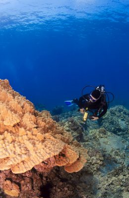 Decompression Diving - What is it and do you need to know it?