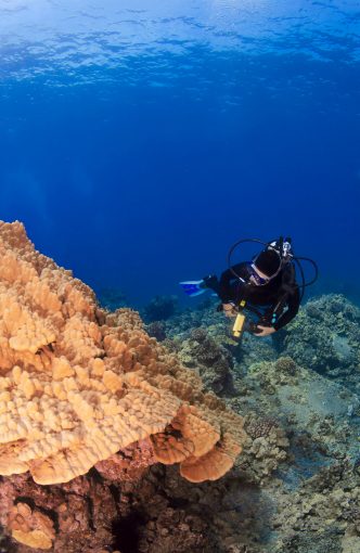 Decompression Diving - What is it and do you need to know it?