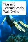 Tips and Techniques for Wall Diving - Scuba Diving Gear