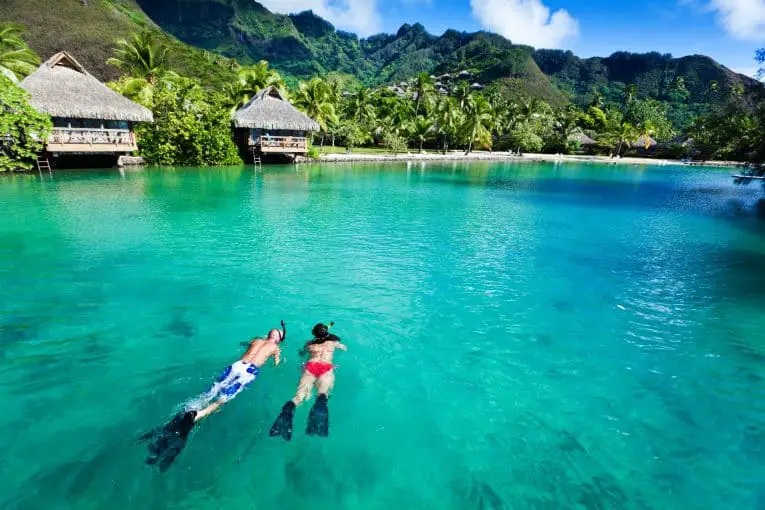 Snorkel Fin Buying Guide - What you need to know!