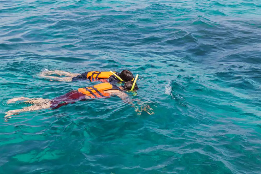 Best Snorkel Vest Reviews - Buyer's Guide for Safe Snorkeling Vests