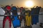Best Split Fins for Scuba Diving - Reviews and Buyers' Guide