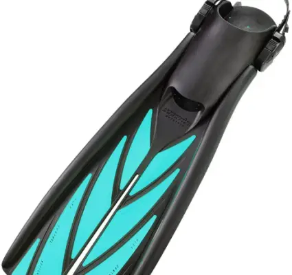 Scuba Fins Buying Guide - All you need to know about Dive Flippers!