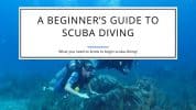 How to get started to Scuba Dive: A Beginner’s Guide
