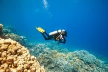 A Guide on How To Safely Go Diving In Strong Currents