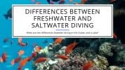 Saltwater vs Freshwater Diving - What are the Differences?