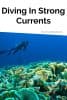 A Guide on How To Safely Go Diving In Strong Currents