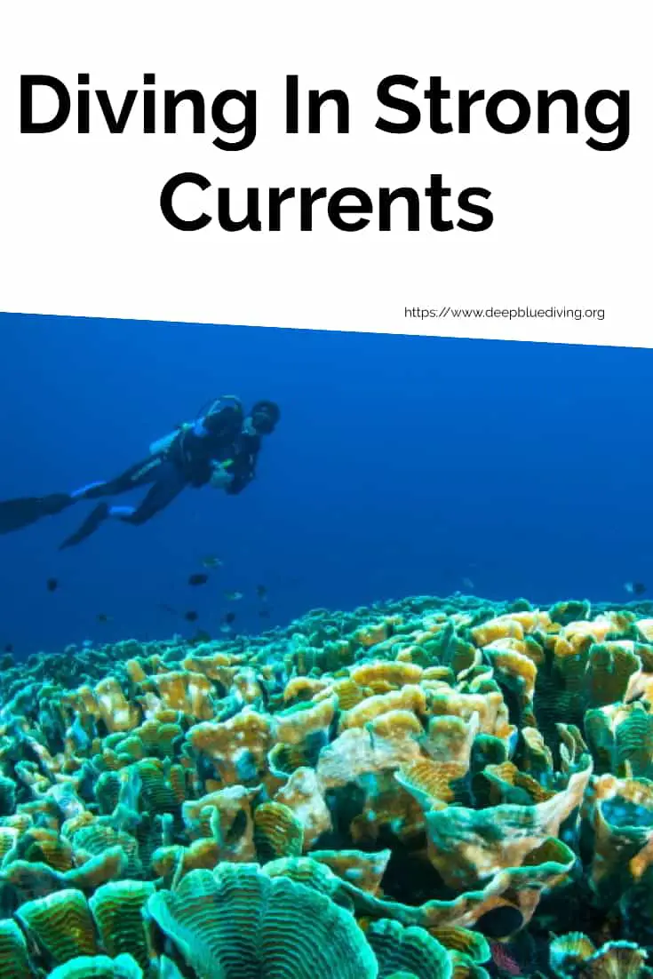 A Guide on How To Safely Go Diving In Strong Currents