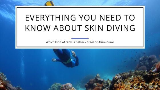 Everything you need to Know about Skin Diving