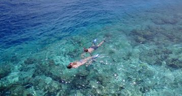 A Comprehensive Guide on How to Learn to Snorkel for Beginners