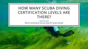 How Many Scuba Diving Certifications Levels are there that You need?