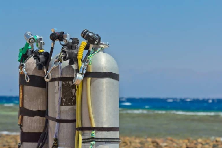 Nitrox vs Air Diving - What you need to know! - Scuba Diving Gear