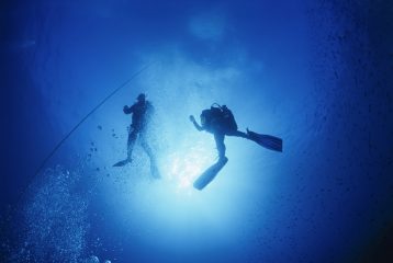 What Do You Do if You Get Separated From Your Dive Buddy?