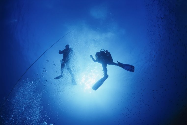 Tips For A Safe Ascent And Descent While Scuba Diving - Scuba Diving Gear