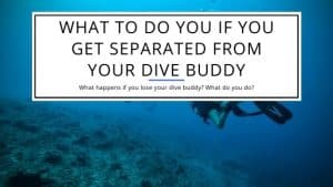 What Do You Do if You Get Separated From Your Dive Buddy?