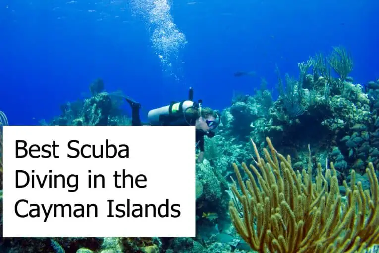 Find the Best Scuba Diving Desitnations in the Cayman Islands