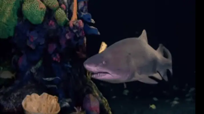 Scuba Diving at the Epcot Divequest – Worth a Dive?