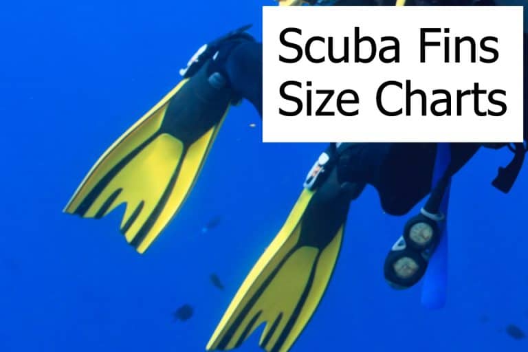 Guide on Scuba Fins Sizing and Size Charts for Various Brands