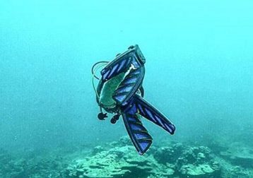 Best Split Fins for Scuba Diving - Reviews and Buyers' Guide