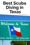 The Best Scuba Diving in Texas - 15 Gorgeous Dive Spots